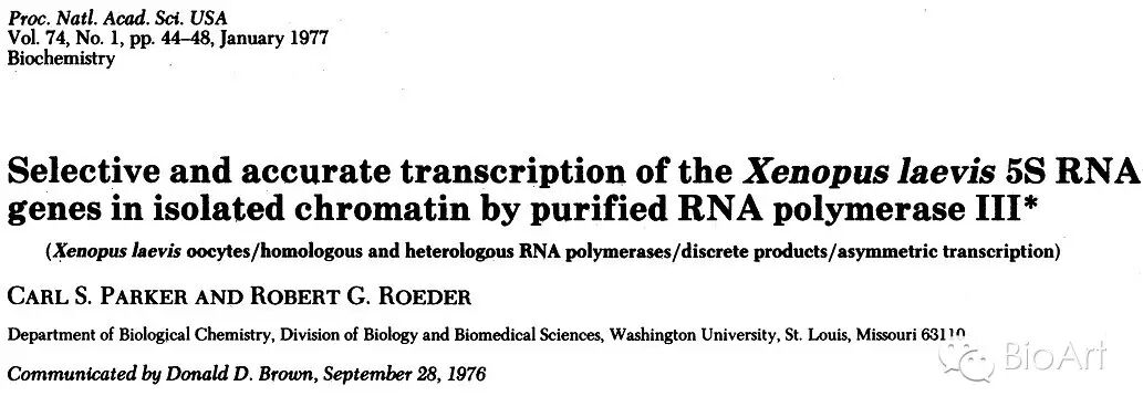 科学网—致敬Robert Roeder——杰出的基因转录调控研究大师 - 丁广进的博文
