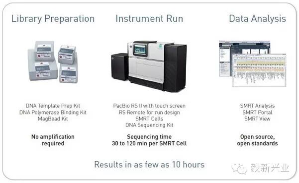 第三代测序技术：PacBio单分子测序 - 技术前沿 - 资讯 - 生物在线