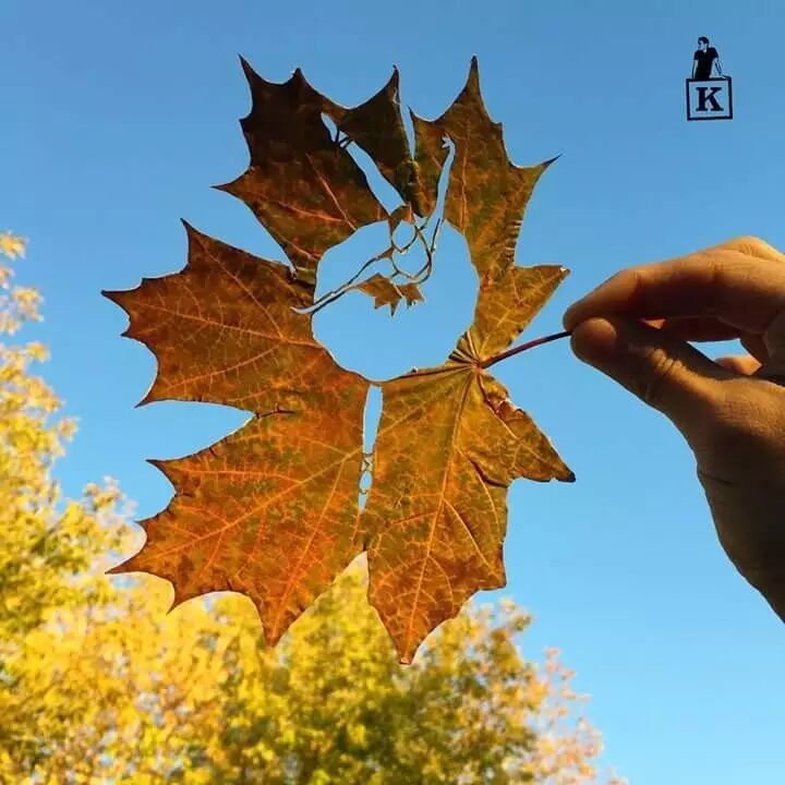 【艺术 】The Art of Leaf Carving 美丽的叶雕艺术创作 - Culturalbility
