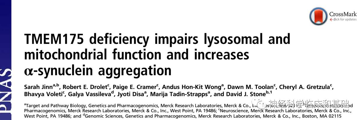科学网—PNAS——研究揭示TMEM175缺陷引起帕金森病的病理机制 - 陈之春的博文