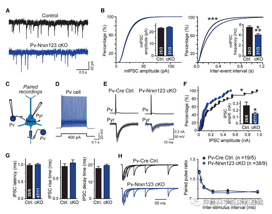 科学网—Neuron—科学家通过条件性敲除技术揭示Neurexins的突触整合功能 - 陈之春的博文