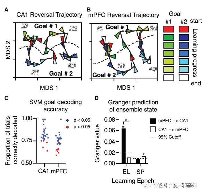 科学网—Neuron——mPFC通过改变海马信息编码减少记忆的干扰 - 陈之春的博文