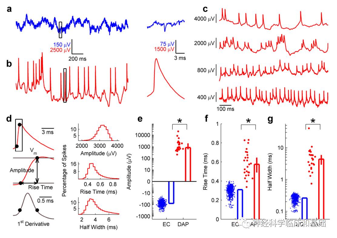 科学网—Science——树突动作电位和膜电位可能是初级的整合编码器 - 陈之春的博文