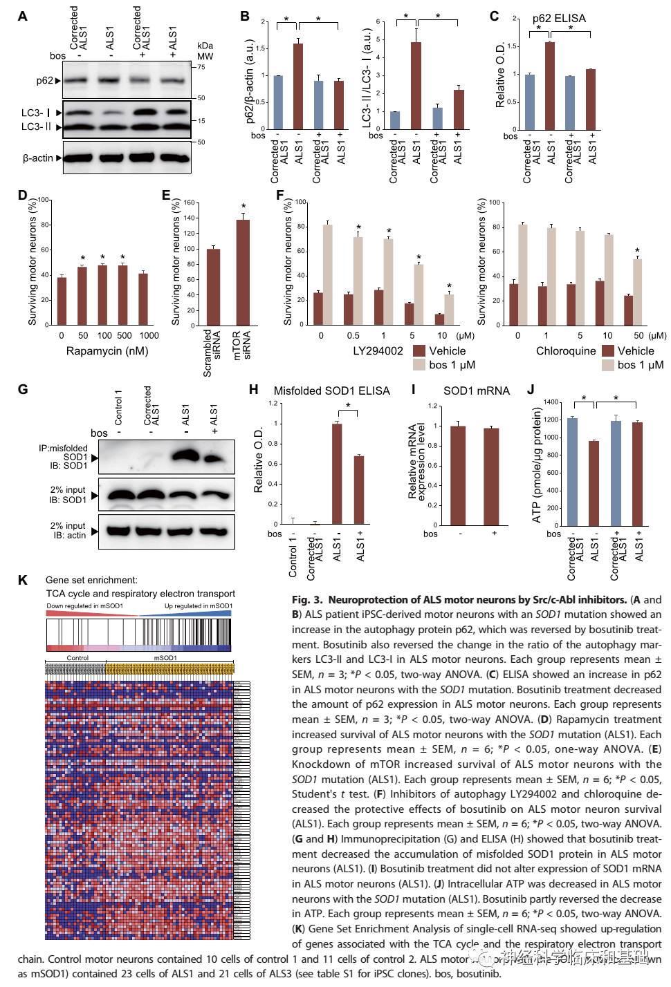 科学网—STM——Src/c-Abl通路是ALS的潜在治疗靶点 - 陈之春的博文