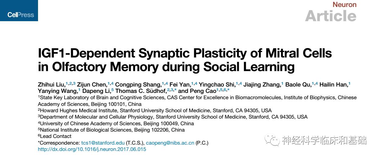 科学网—Neuron—IGF1介导了嗅觉社会学习记忆中僧帽细胞的突出可塑性过程 - 陈之春的博文